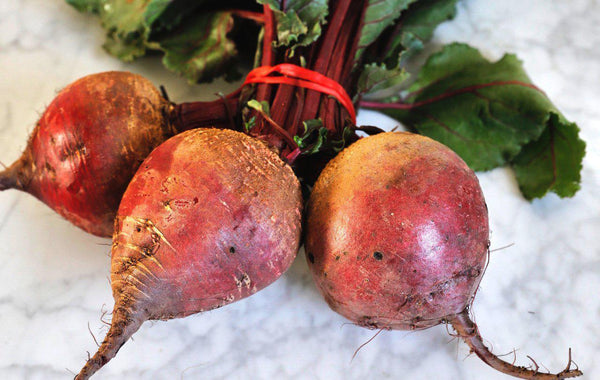 Beetroot, Red – Hillview Farms