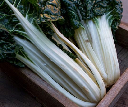 Silverbeet – Hillview Farms